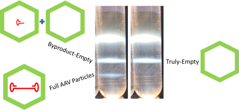 AAV References_AAV Products_AAVnerGene Inc